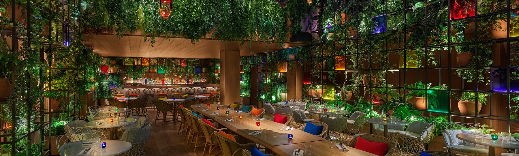 Contact Us | Oroya | Official Website